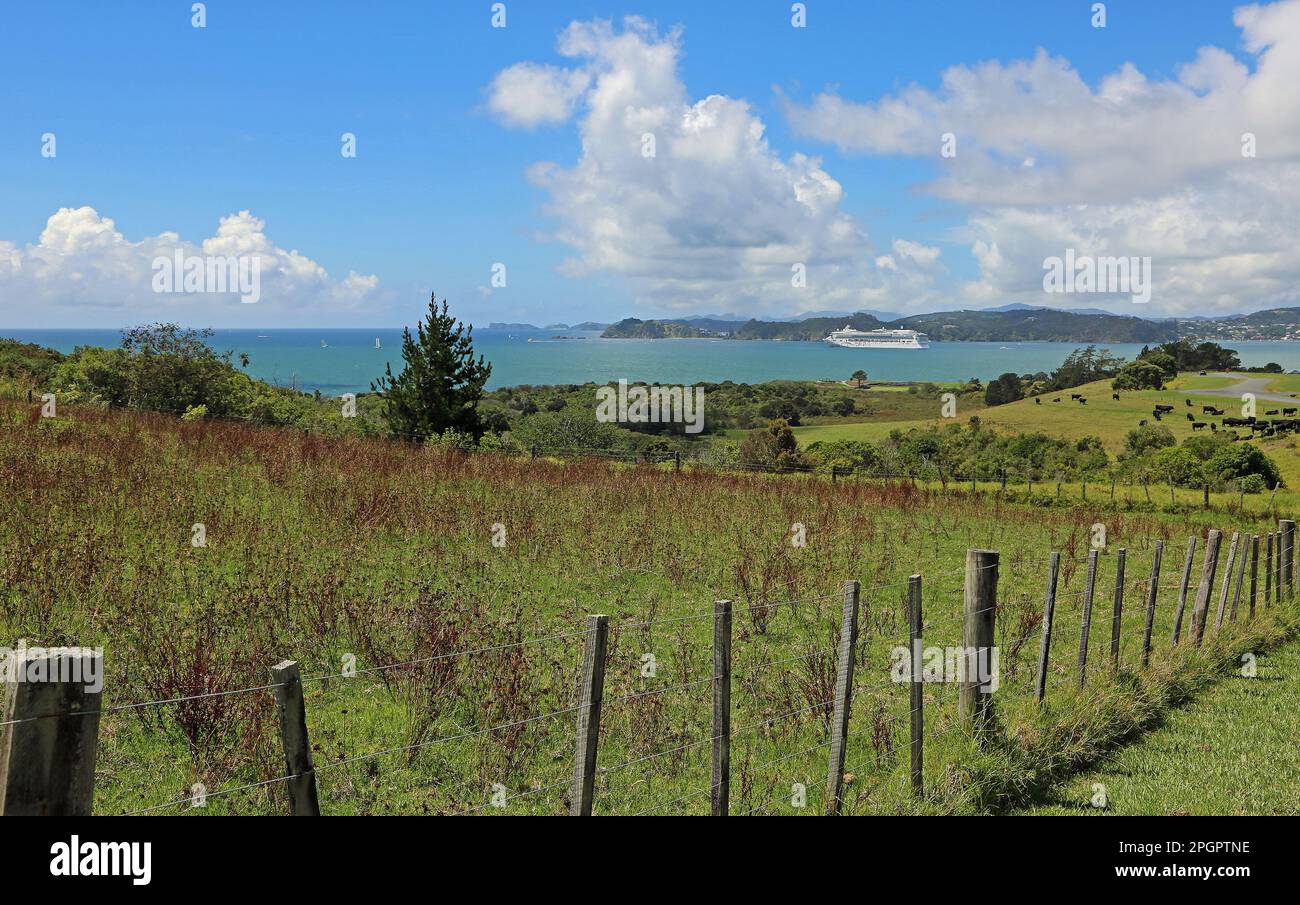 The fence and Bay of Islands - New Zealand Stock Photo - Alamy
