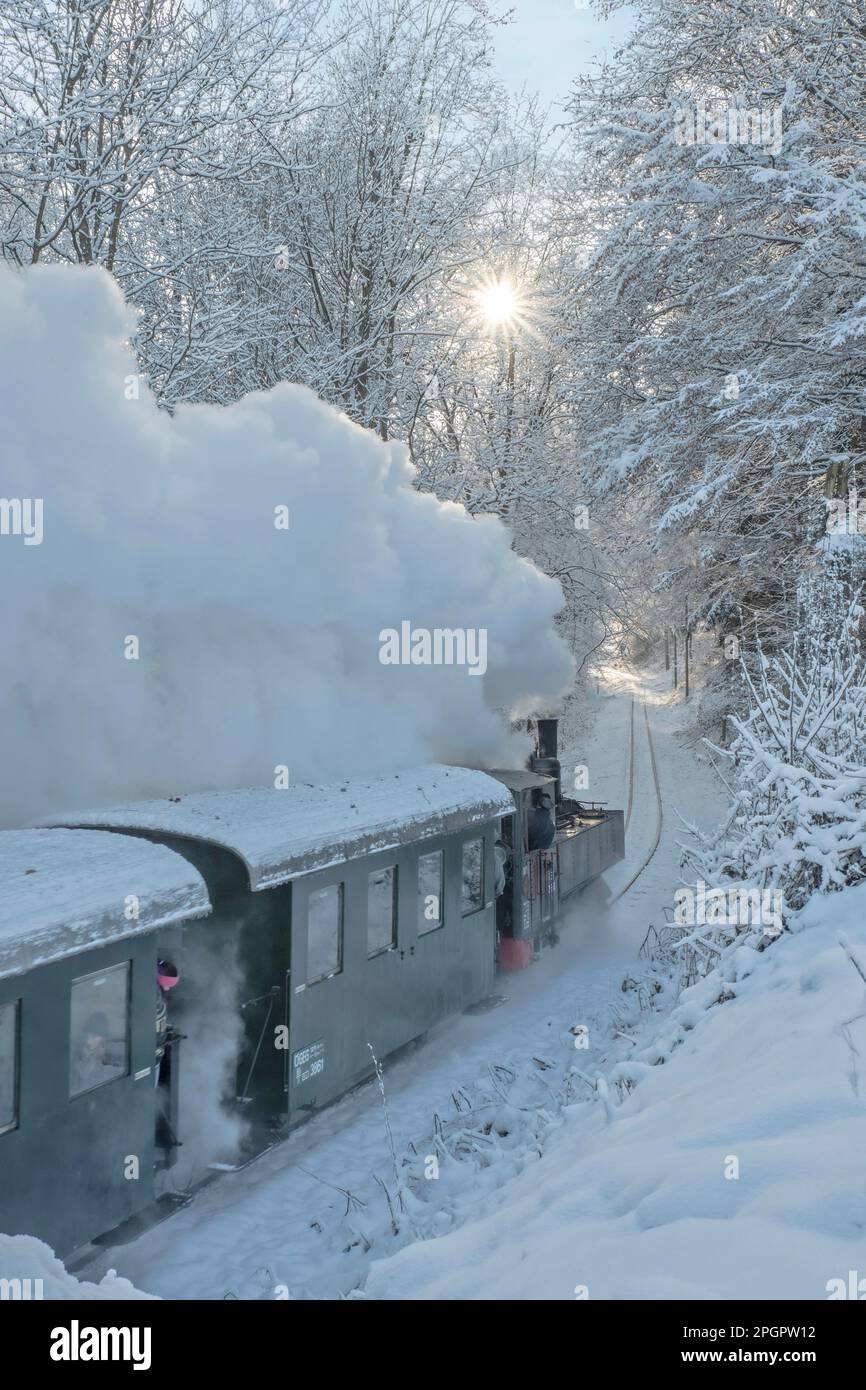Winter steam locomotive ride of the Steyrtalbahn museum railway in ...