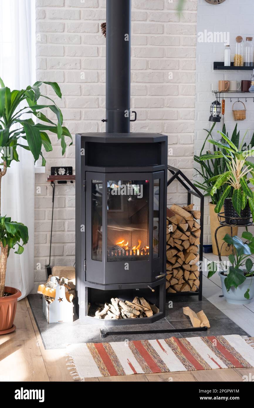 Black Metal Steel fireplace stove with fire and firewood in green home ...