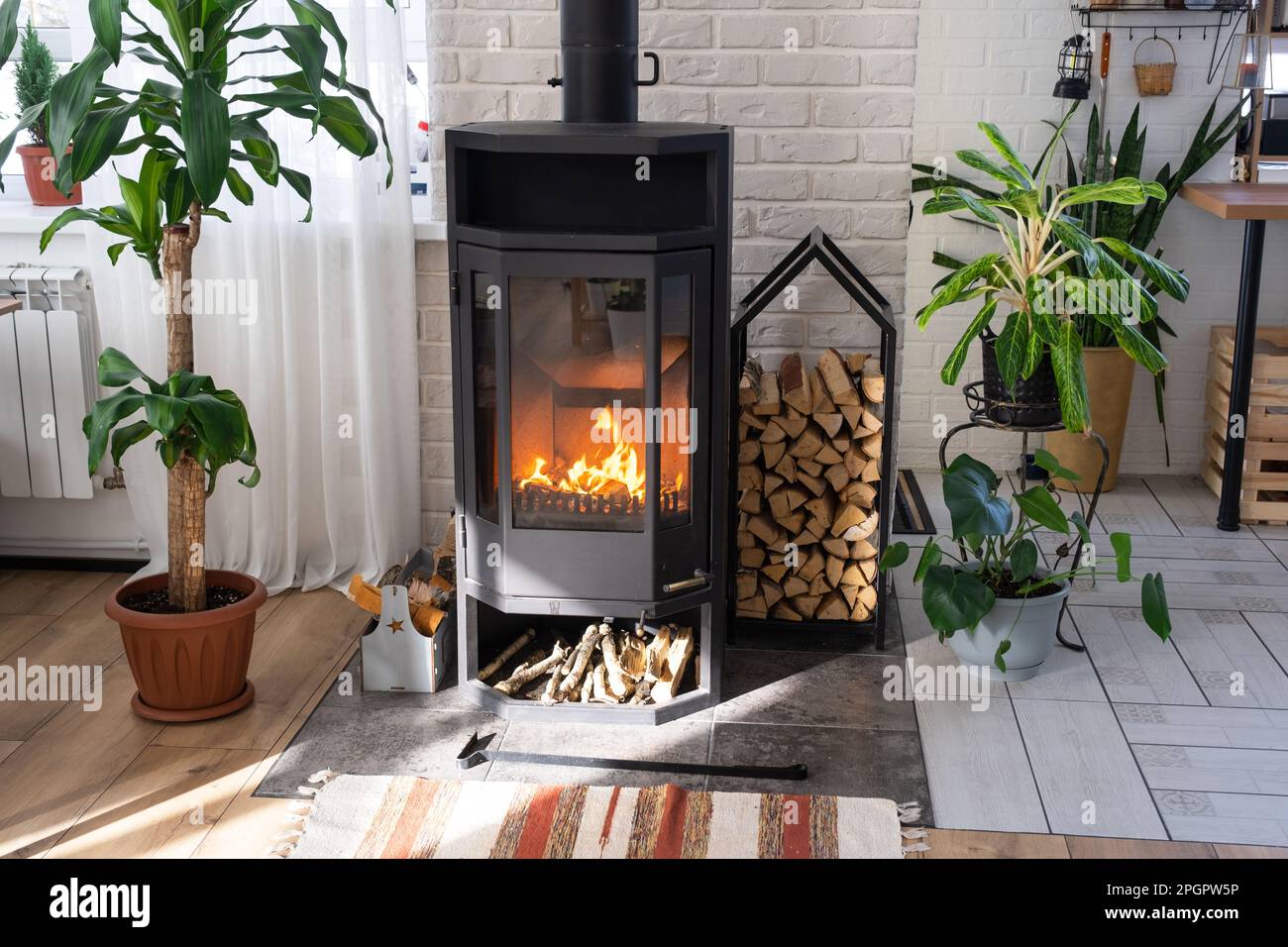 Black Metal Steel fireplace stove with fire and firewood in green home ...