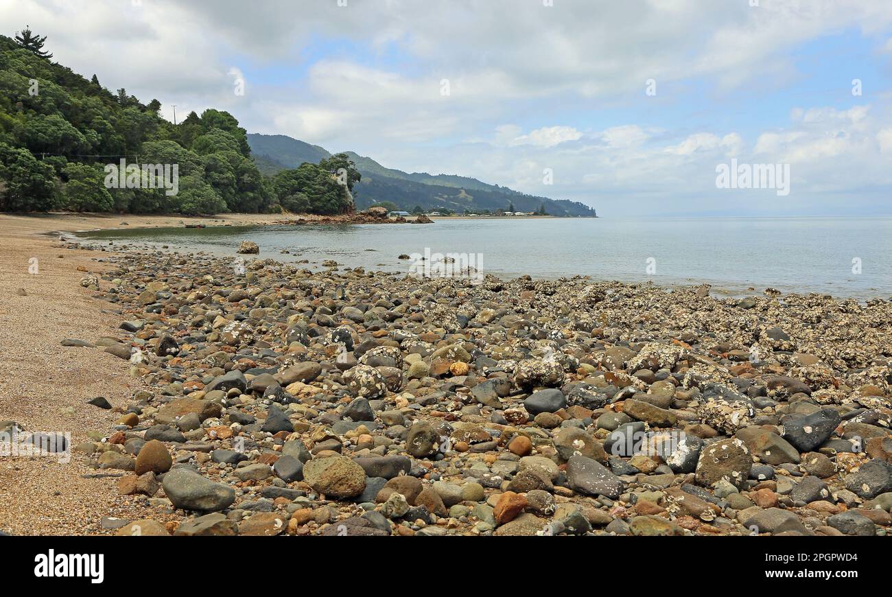 West coast of Coromandel - New Zealand Stock Photo - Alamy