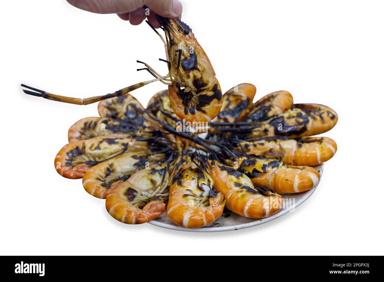 Die cut of Prawns, Grilled river shrimp or Thai shrimp on white ...