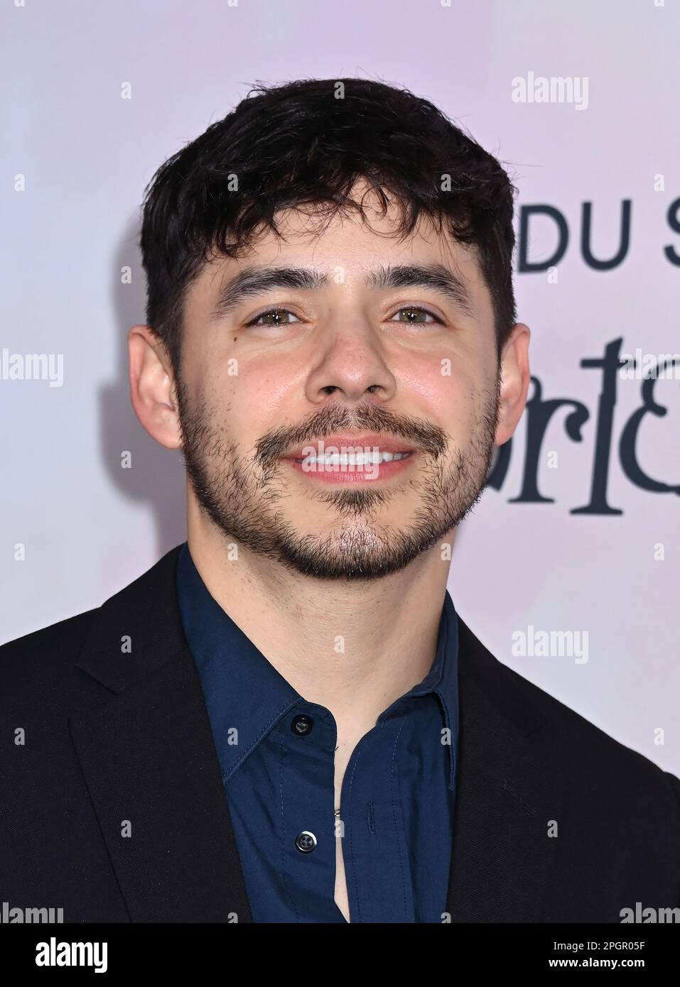 David Archuleta arriving at the Cirque du Soleil “CORETO” red carpet ...