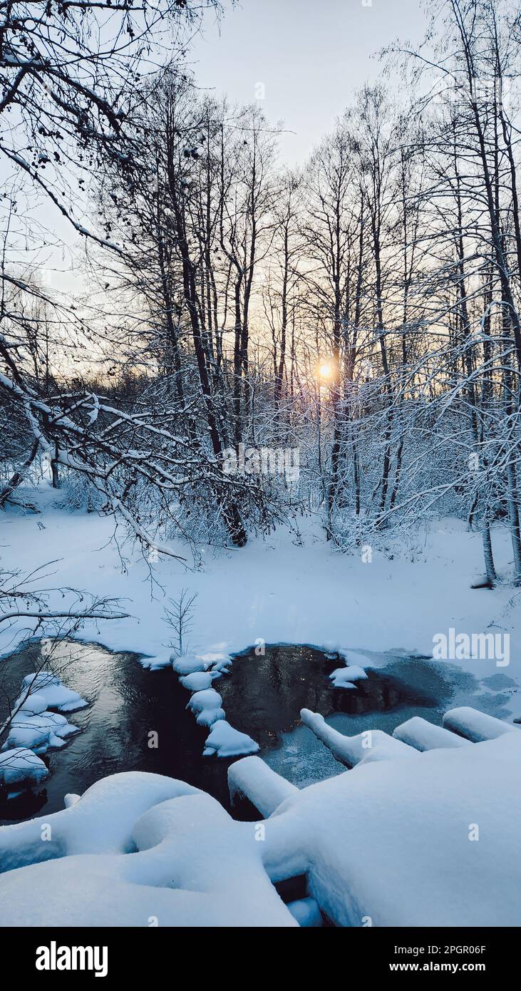 Beautiful evening landscape. Fantastic winter sunset in snowy forest ...