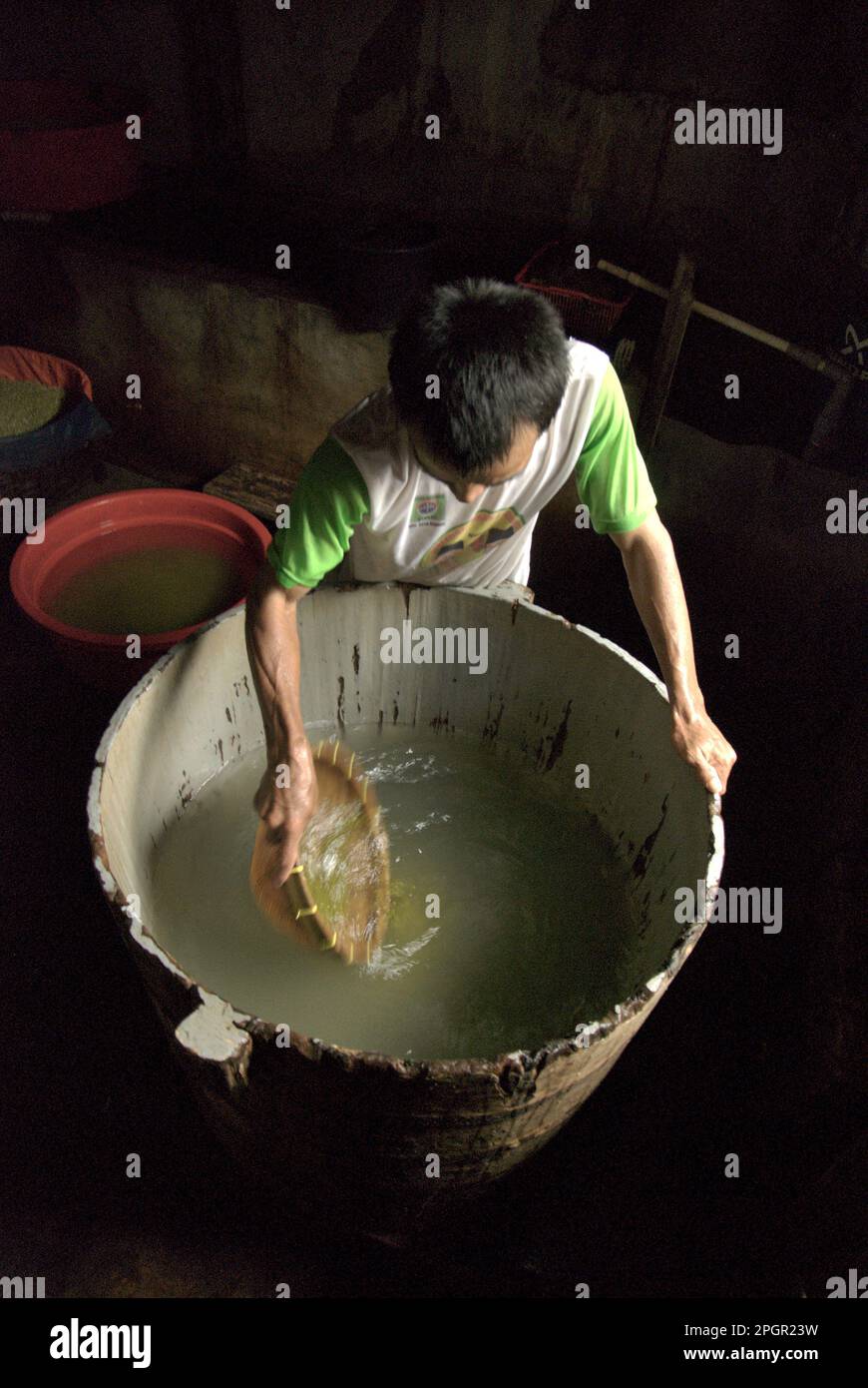 A worker is stirring up freshwater in a barrel where mung beans (Vigna ...