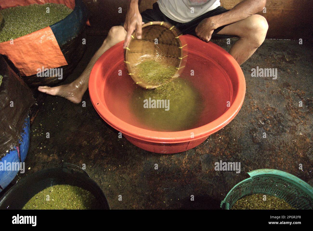 Bean sprouts production hi-res stock photography and images - Alamy