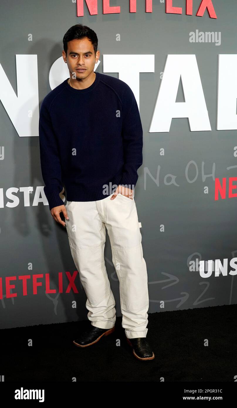 Julian Works poses at the premiere of the Netflix series "Unstable ...