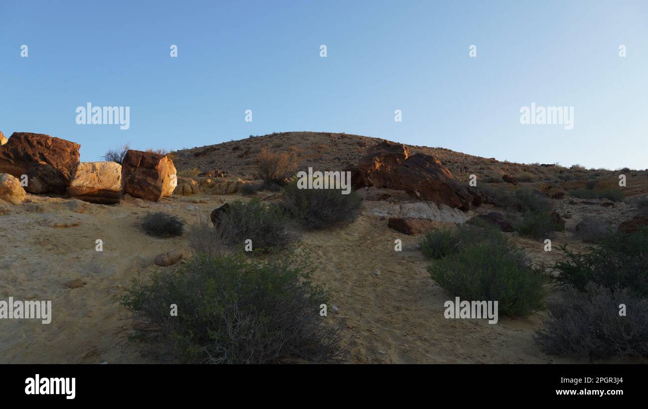 Tree trunk fossils are on the bottom of the crater Makhtesh Gadol, in ...
