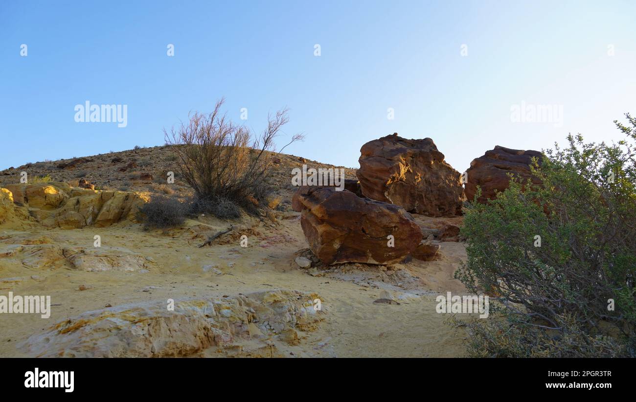 Tree trunk fossils are on the bottom of the crater Makhtesh Gadol, in ...
