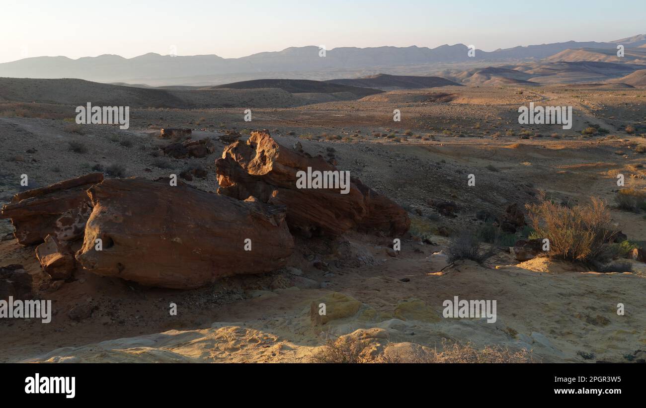 Tree trunk fossils are on the bottom of the crater Makhtesh Gadol, in ...