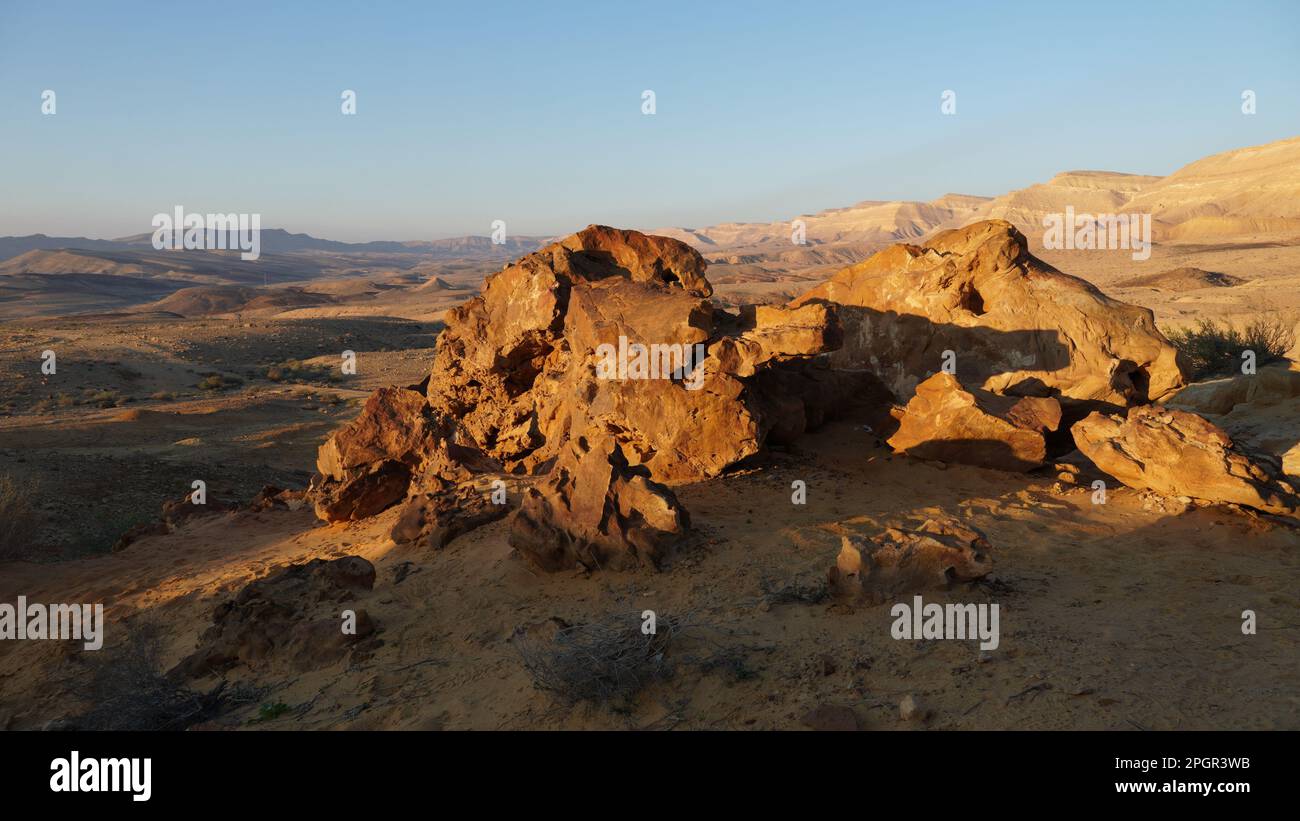 Tree trunk fossils are on the bottom of the crater Makhtesh Gadol, in ...