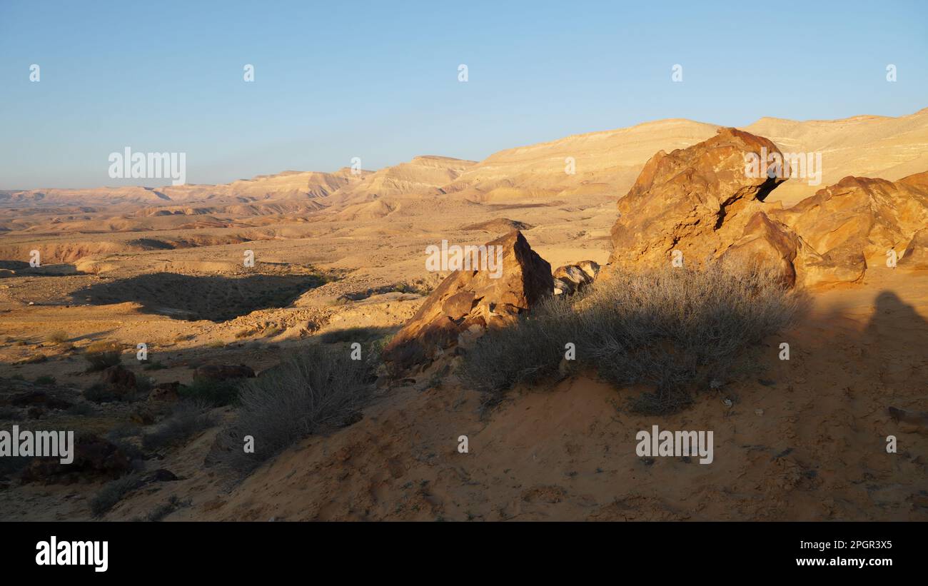 Tree trunk fossils are on the bottom of the crater Makhtesh Gadol, in ...