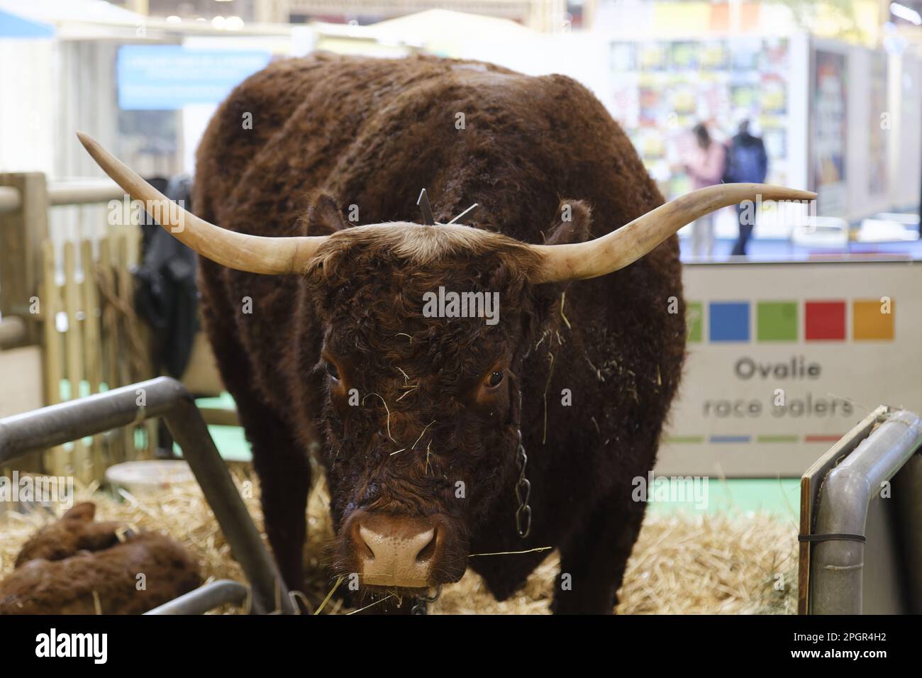 Paris, France. 25th Feb, 2023. Inauguration of the 59th International ...