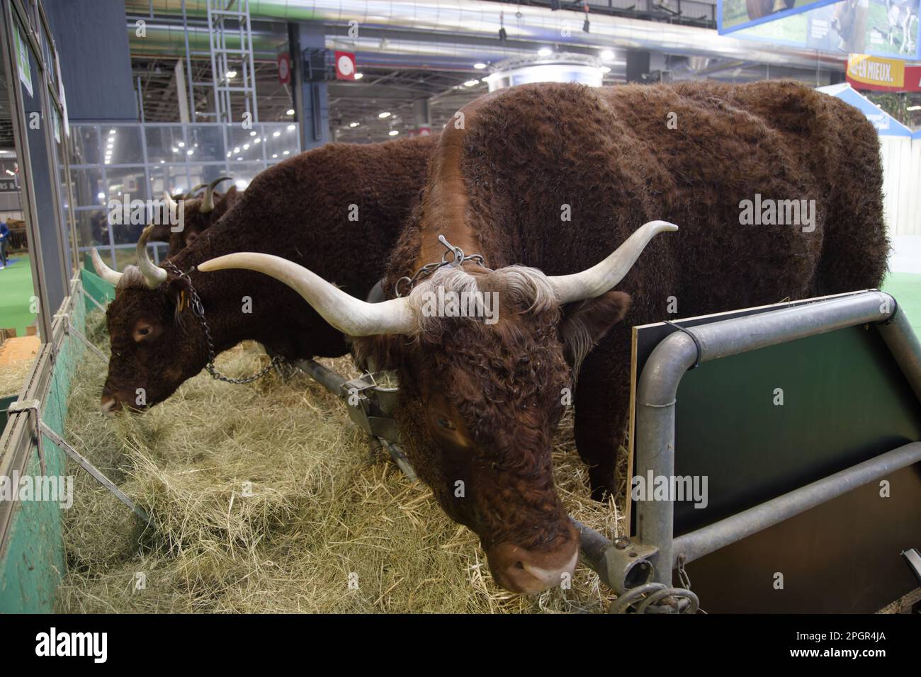 Paris, France. 25th Feb, 2023. Inauguration of the 59th International ...