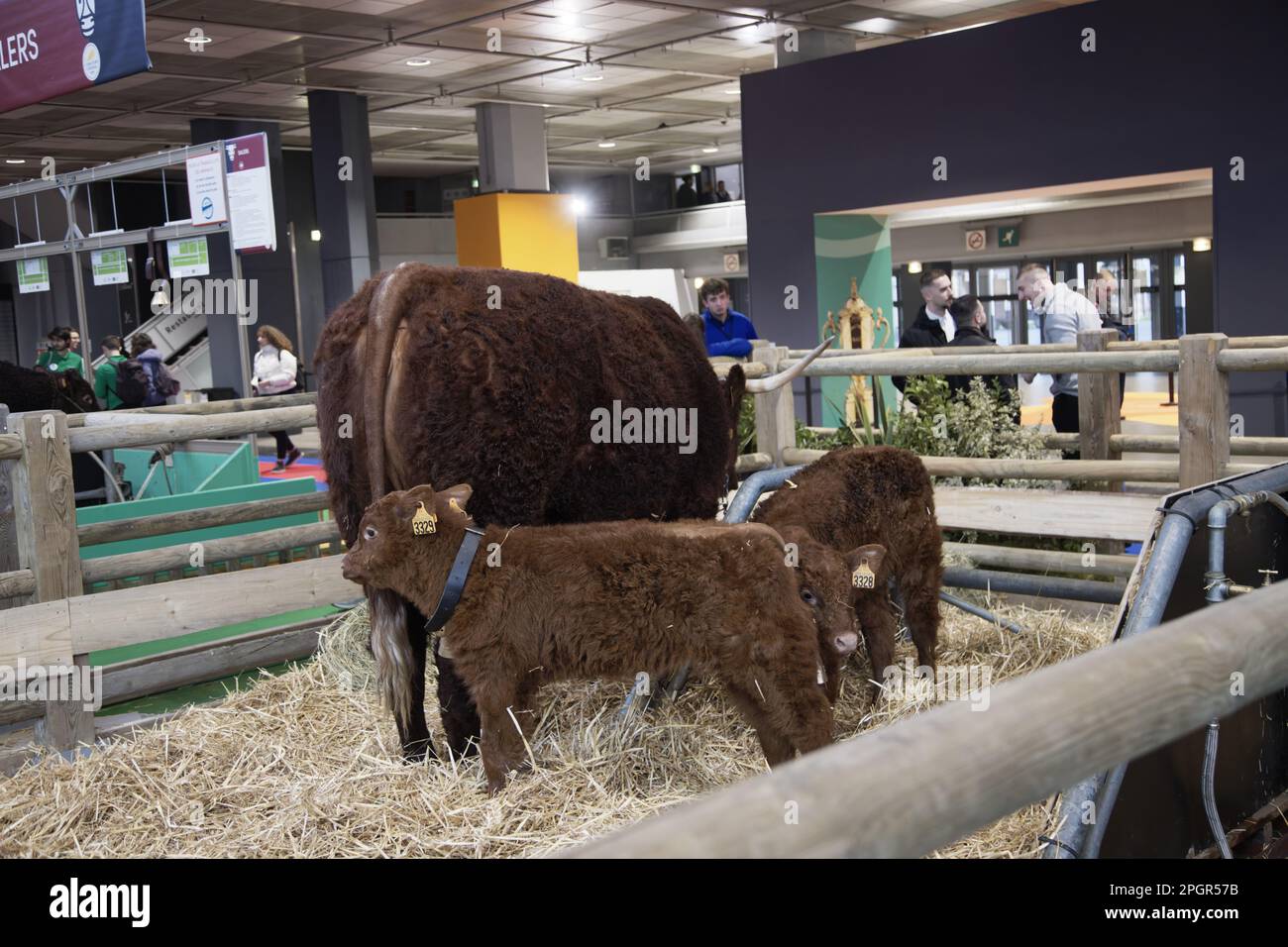 Paris, France. 25th Feb, 2023. Inauguration of the 59th International ...