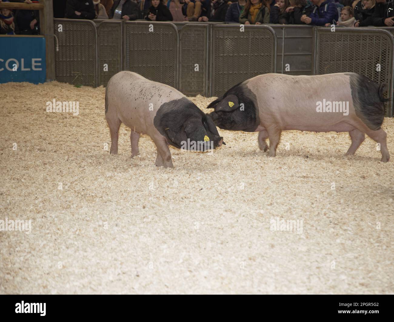 Paris, France. 25th Feb, 2023. Inauguration of the 59th International ...