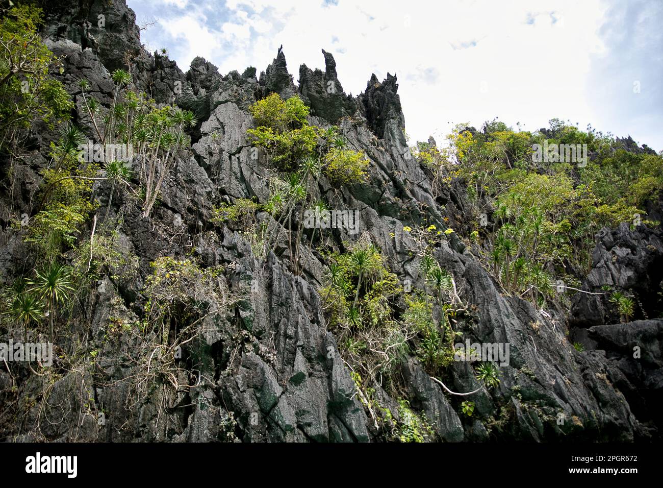 A majestic rock in El Nido, Palawan in the Philippines that is covered ...