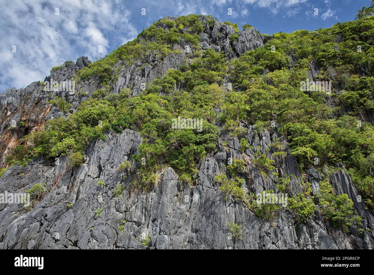 A majestic rock in El Nido, Palawan in the Philippines that is covered ...