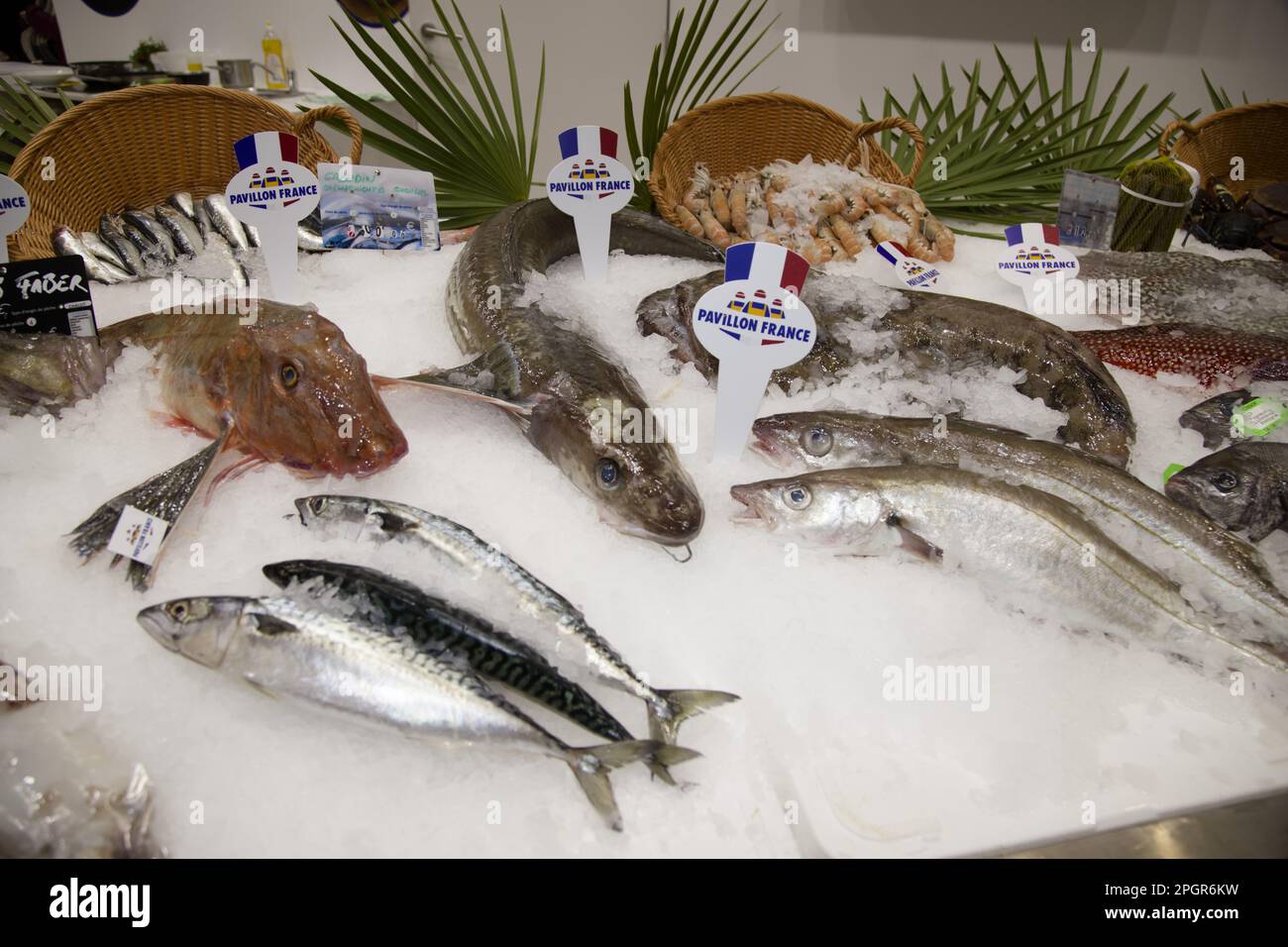 Paris, France. 25th Feb, 2023. Inauguration of the 59th International ...