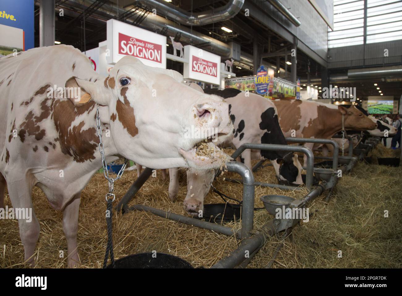 Paris, France. 25th Feb, 2023. Inauguration of the 59th International ...