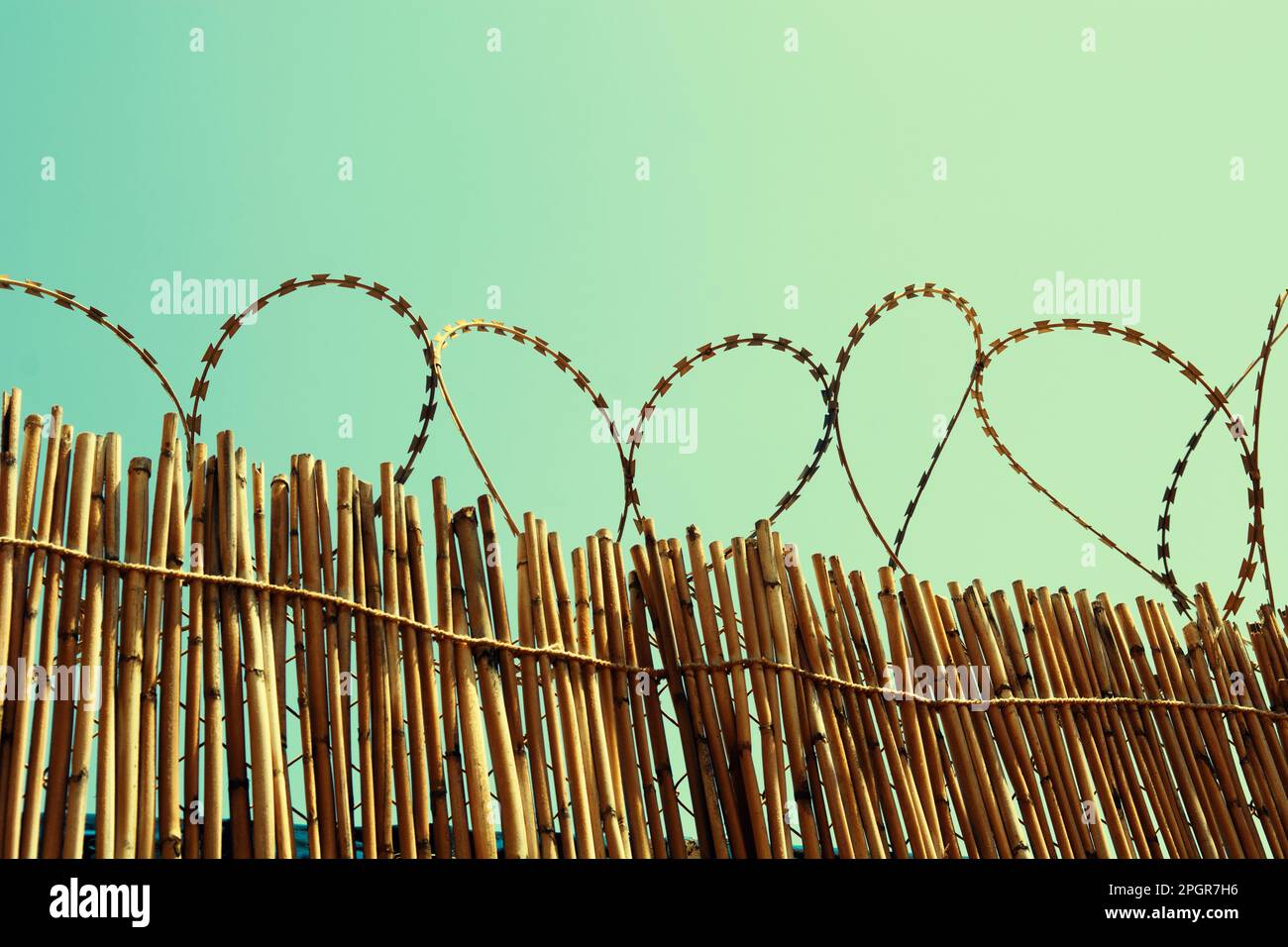 Barbwire hi-res stock photography and images - Alamy