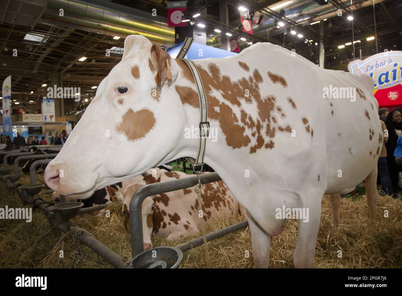 Paris, France. 25th Feb, 2023. Inauguration of the 59th International ...