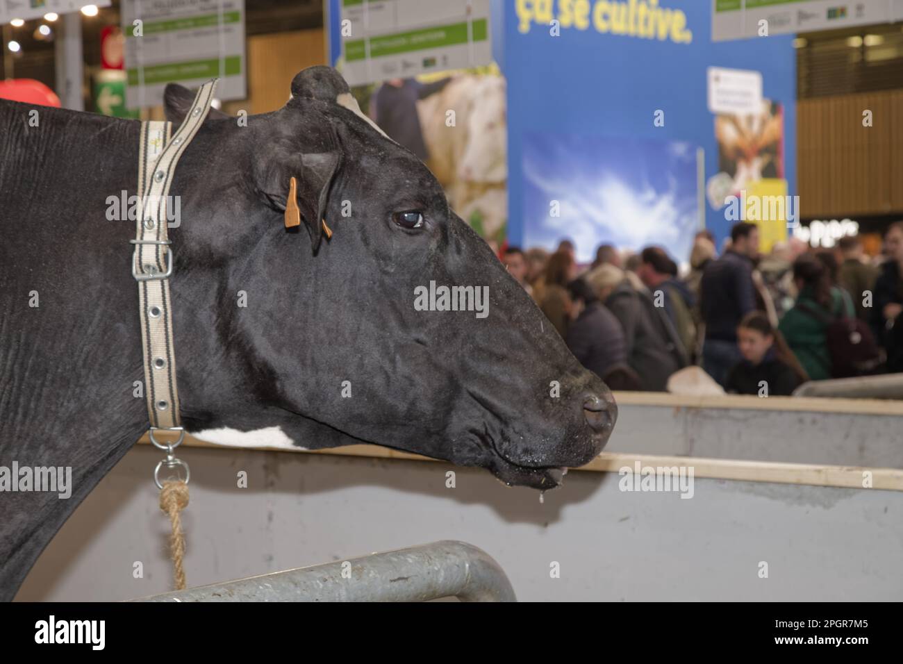 Paris, France. 25th Feb, 2023. Inauguration of the 59th International ...