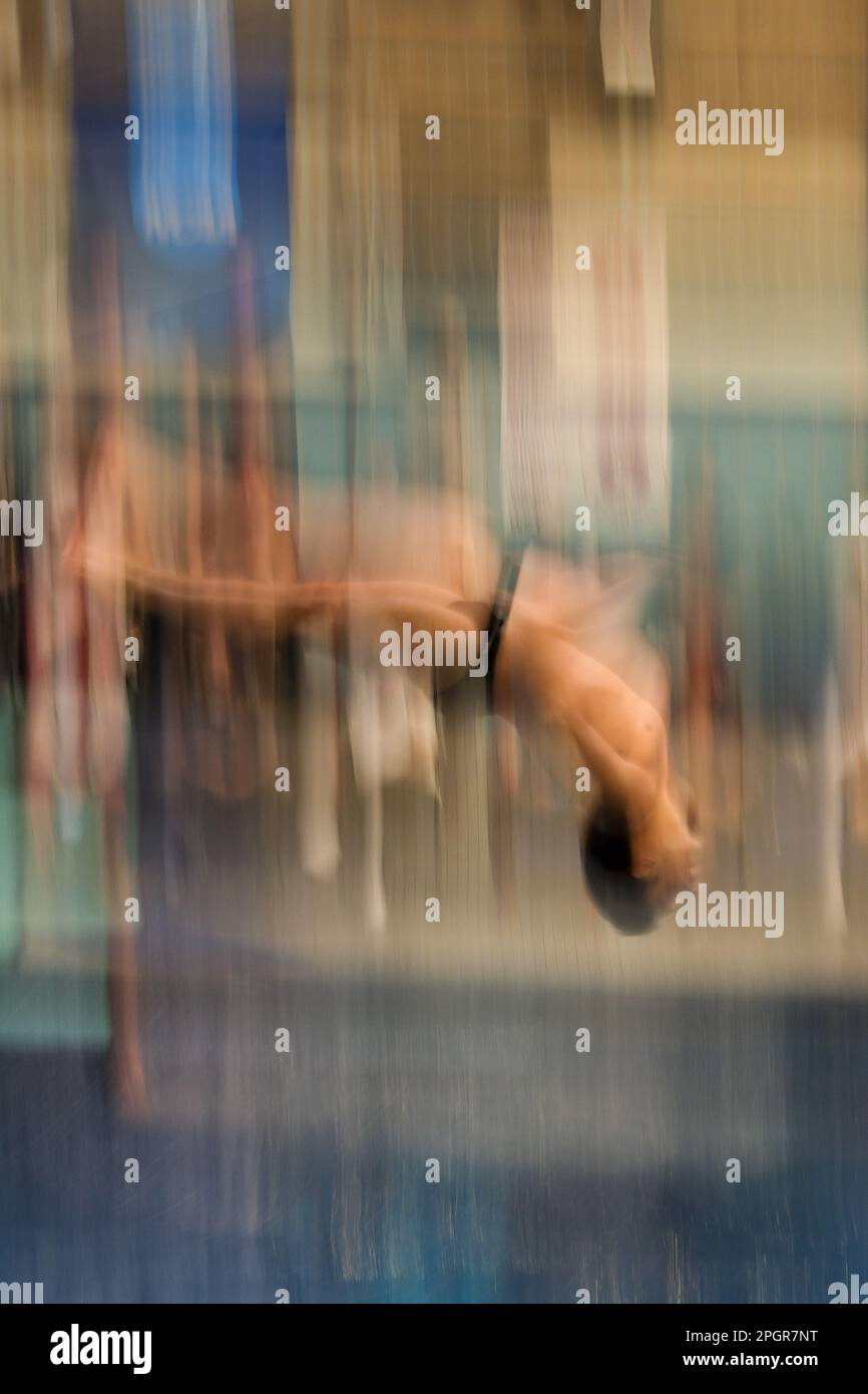 Ncaa swimming championships hi-res stock photography and images - Alamy