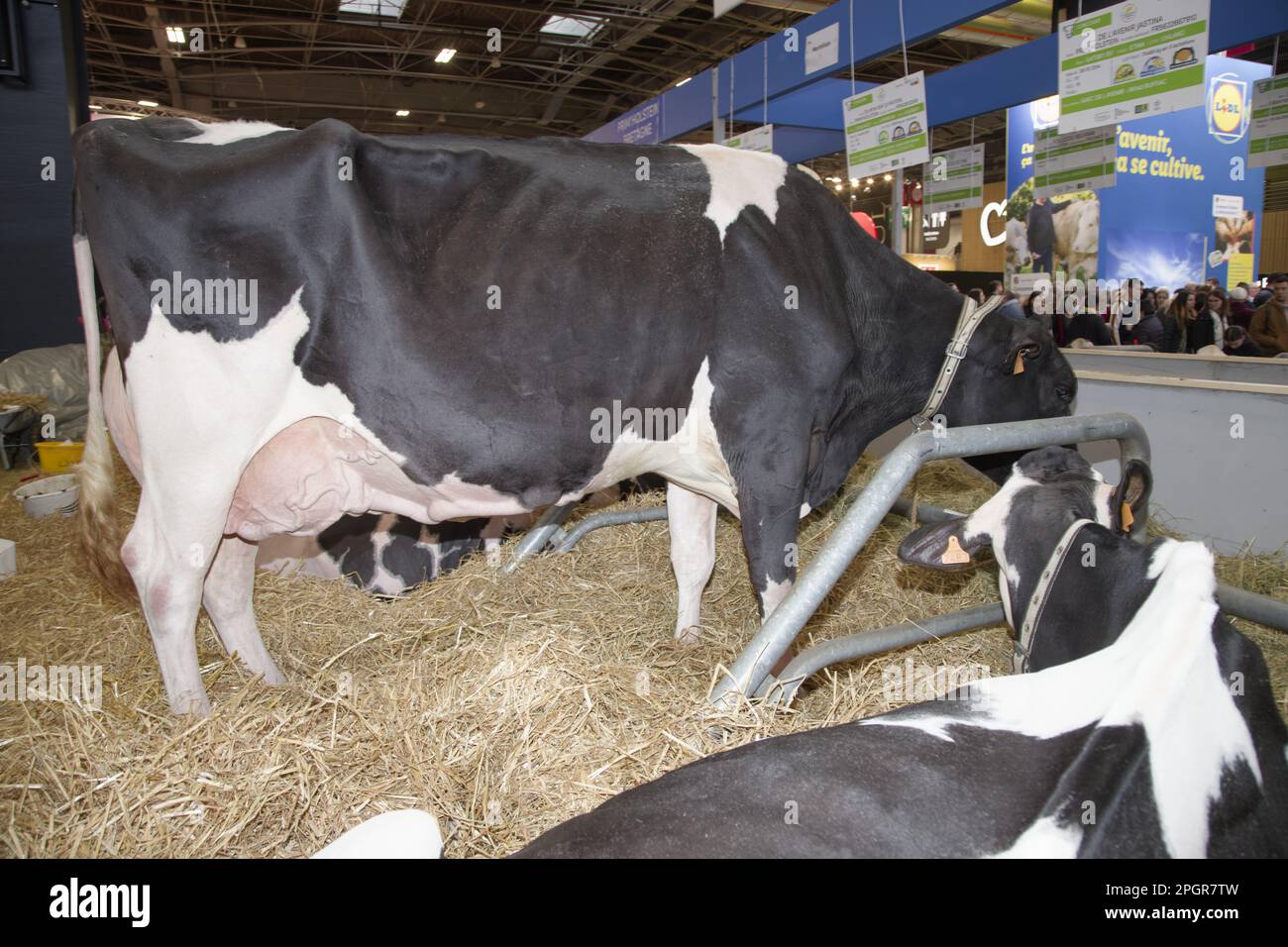 Paris, France. 25th Feb, 2023. Inauguration of the 59th International ...