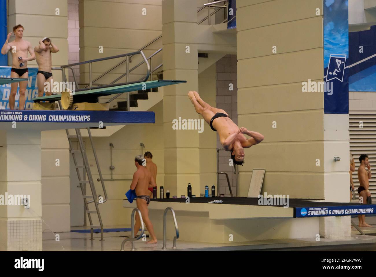 Ncaa mens swimming and diving championships hi-res stock photography ...