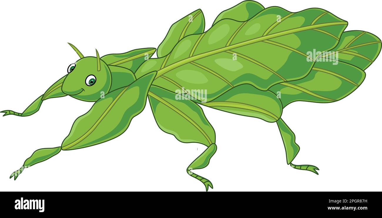 Walking stick insect on Cut Out Stock Images & Pictures - Alamy