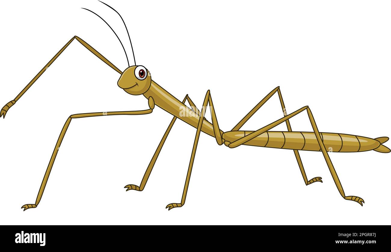 Walking Stick Insect Clip Art