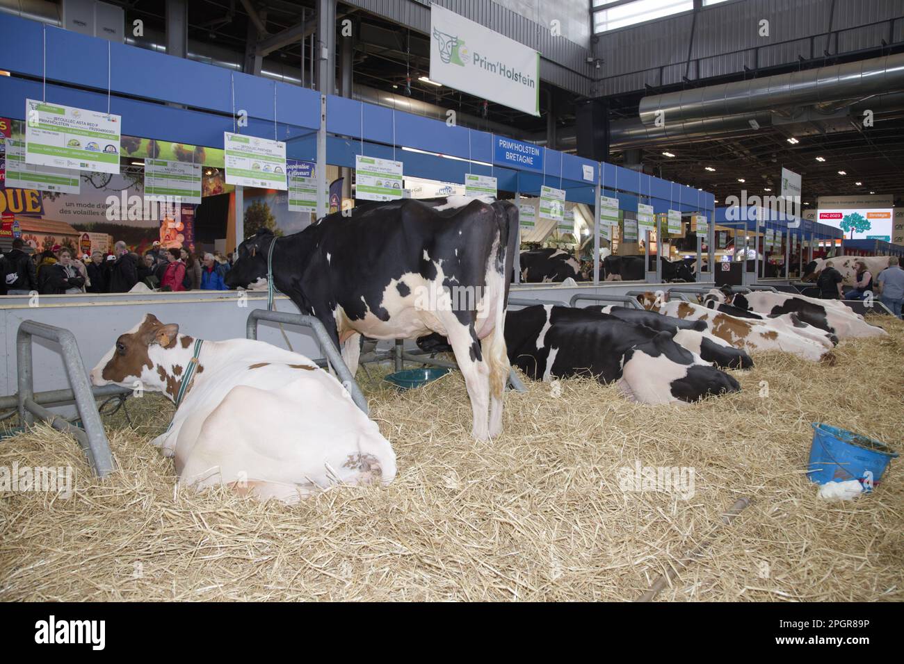 Paris, France. 25th Feb, 2023. Inauguration of the 59th International ...