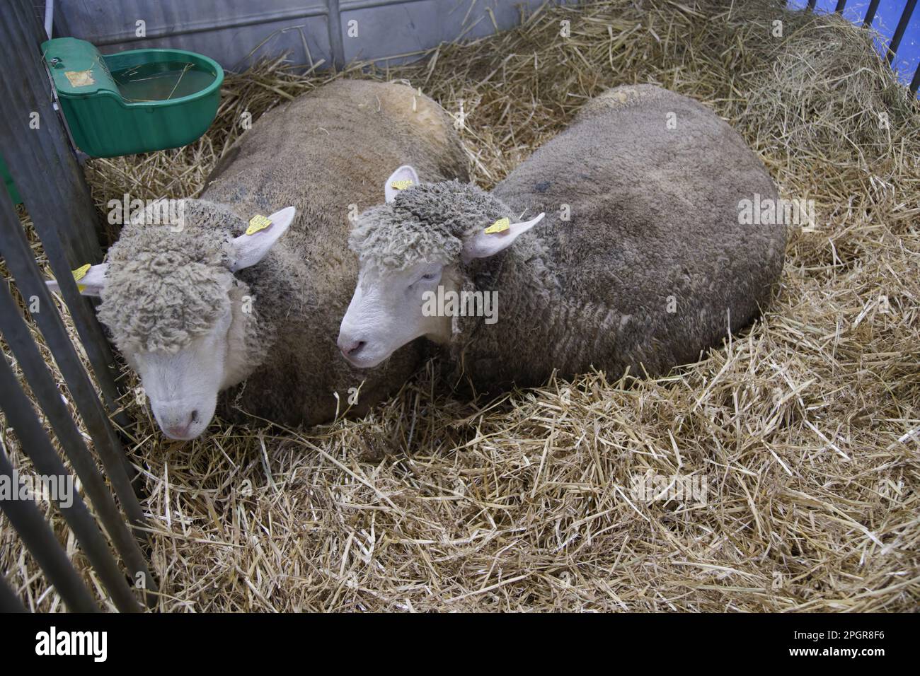 Paris, France. 25th Feb, 2023. Inauguration of the 59th International ...