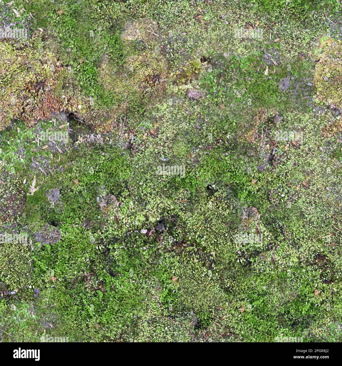 Seamless texture of wall decorated with moss. Endless forest moss ...