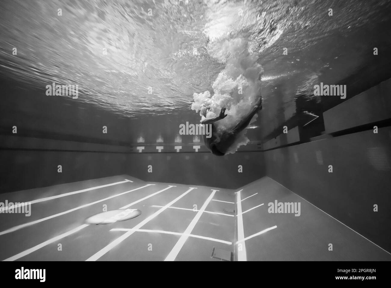 Minneapolis, Minnesota, USA. 23rd Mar, 2023. Underwater view of the ...