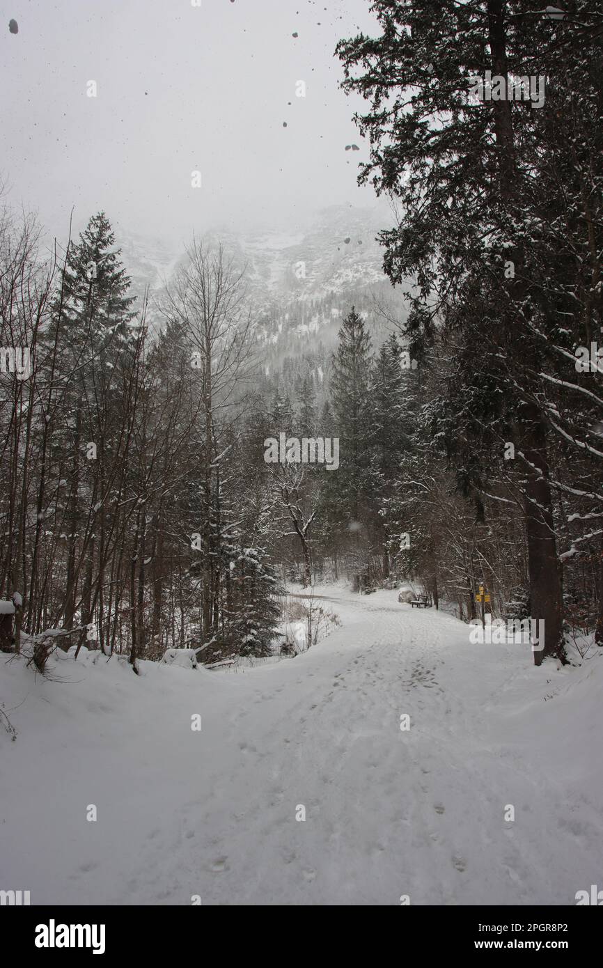 winter in the german alps Stock Photo - Alamy