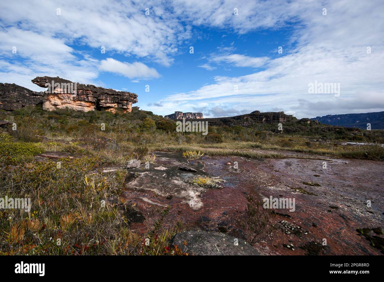 Plateau of the table mountain Auyan tepui with sandstone rock cliffs ...