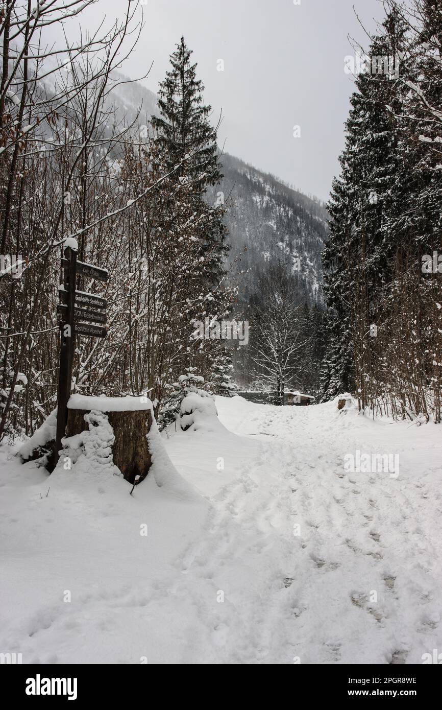 Wonderful landscape alps germany hi-res stock photography and images ...