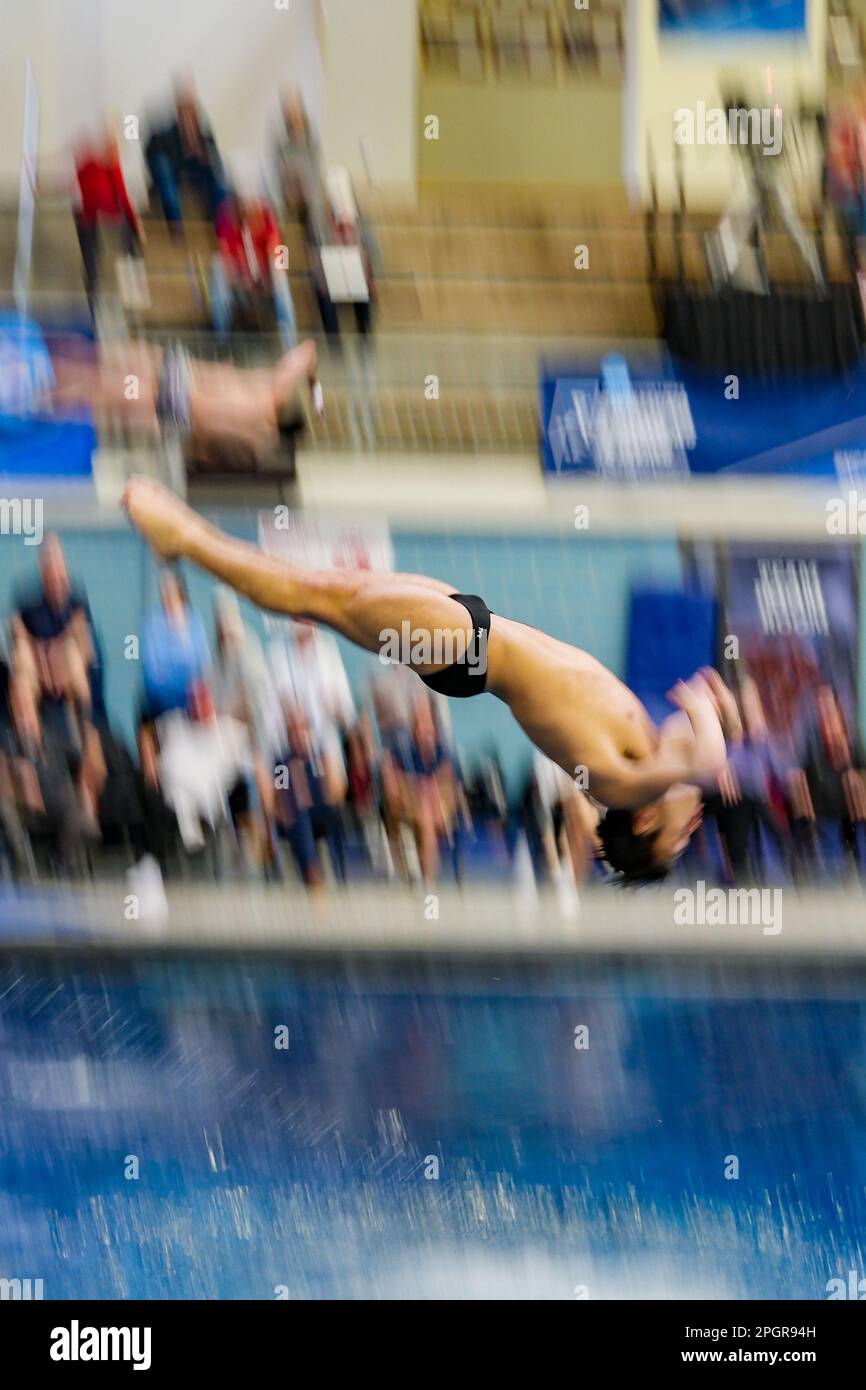 Ncaa divers hi-res stock photography and images - Alamy