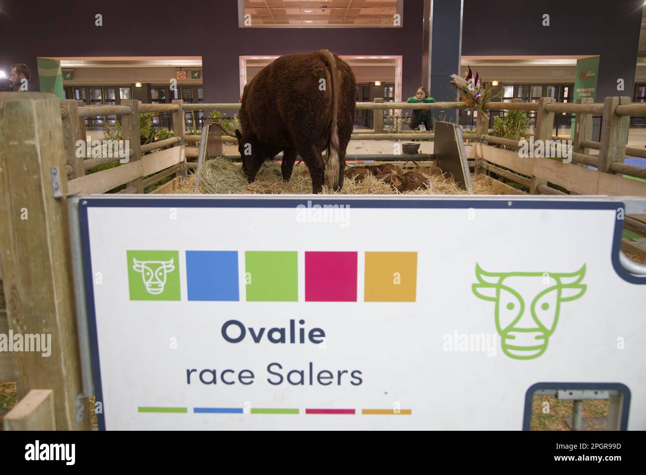 Paris, France. 25th Feb, 2023. Inauguration of the 59th International ...