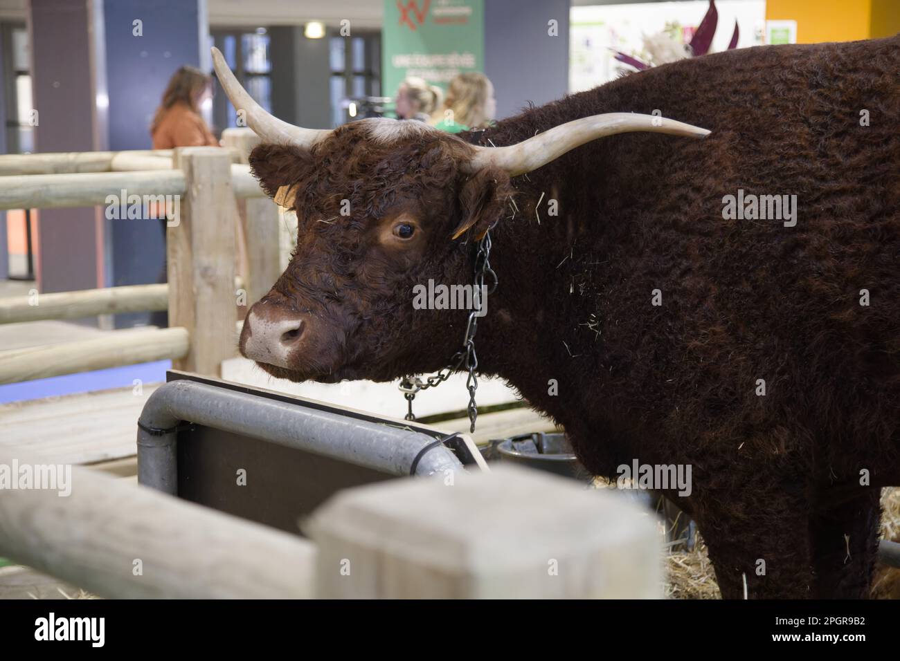 Paris, France. 25th Feb, 2023. Inauguration of the 59th International ...