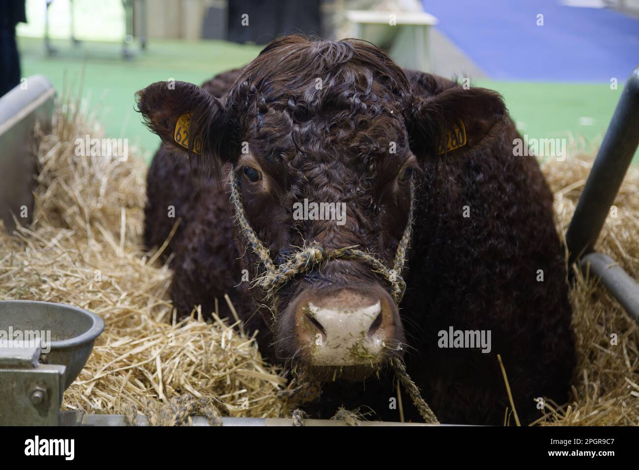 Paris, France. 25th Feb, 2023. Inauguration of the 59th International ...