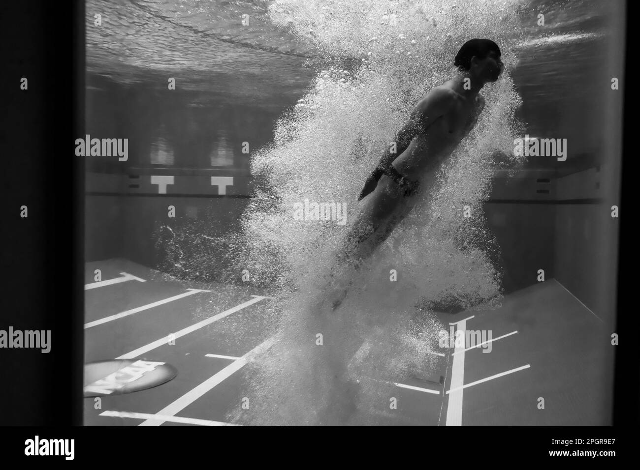 Minneapolis, Minnesota, USA. 23rd Mar, 2023. Underwater view of the ...