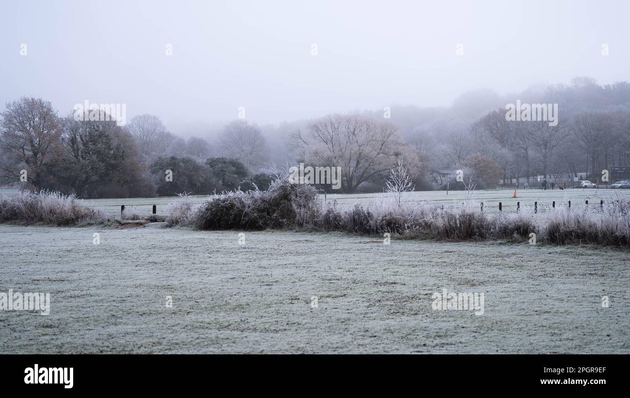 A scenic winter landscape featuring a grassy open field covered in ...