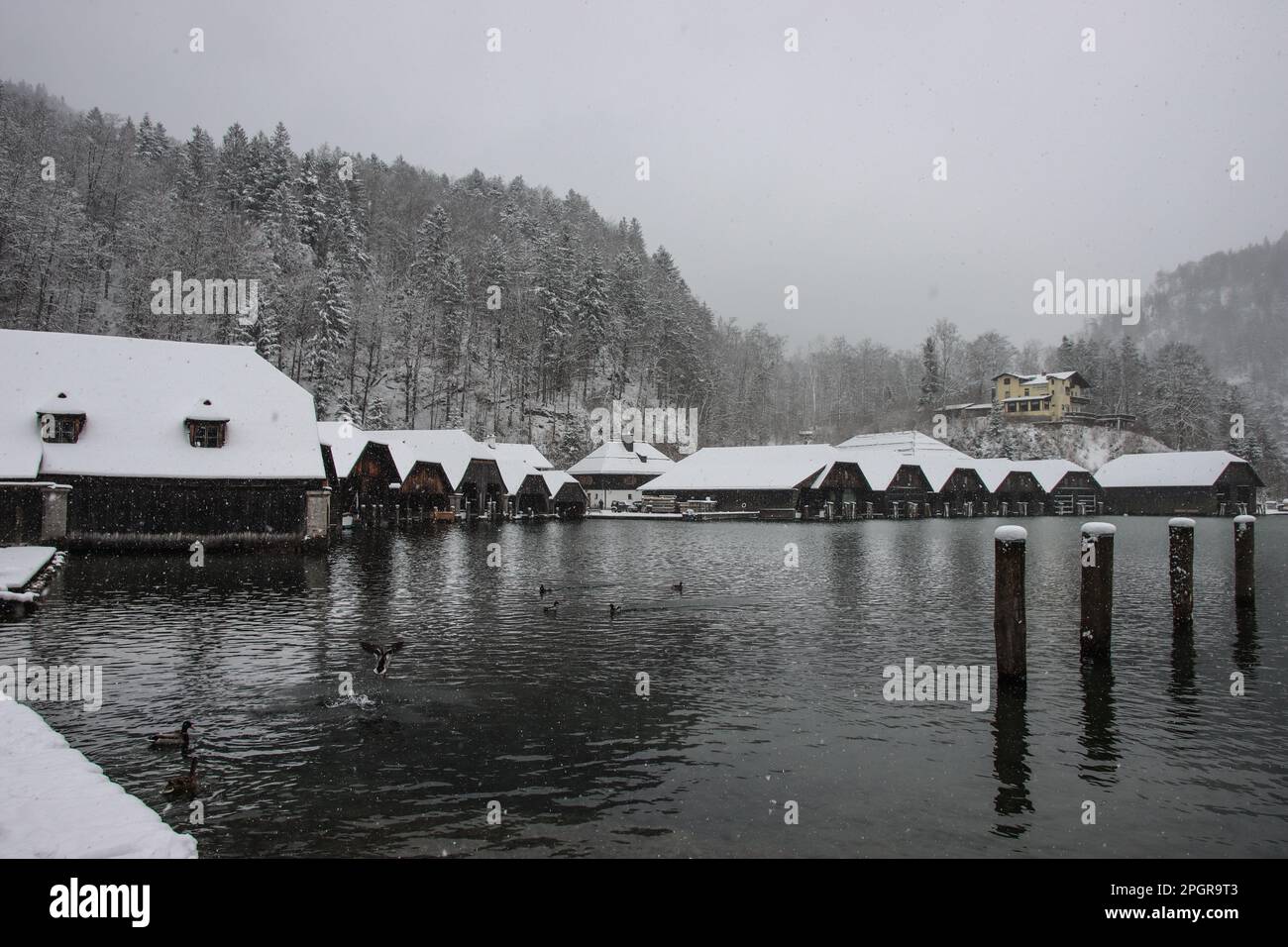 winter in the german alps Stock Photo - Alamy