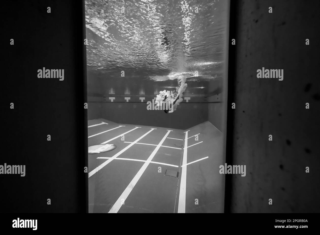 Minneapolis, Minnesota, USA. 23rd Mar, 2023. Underwater view of the ...