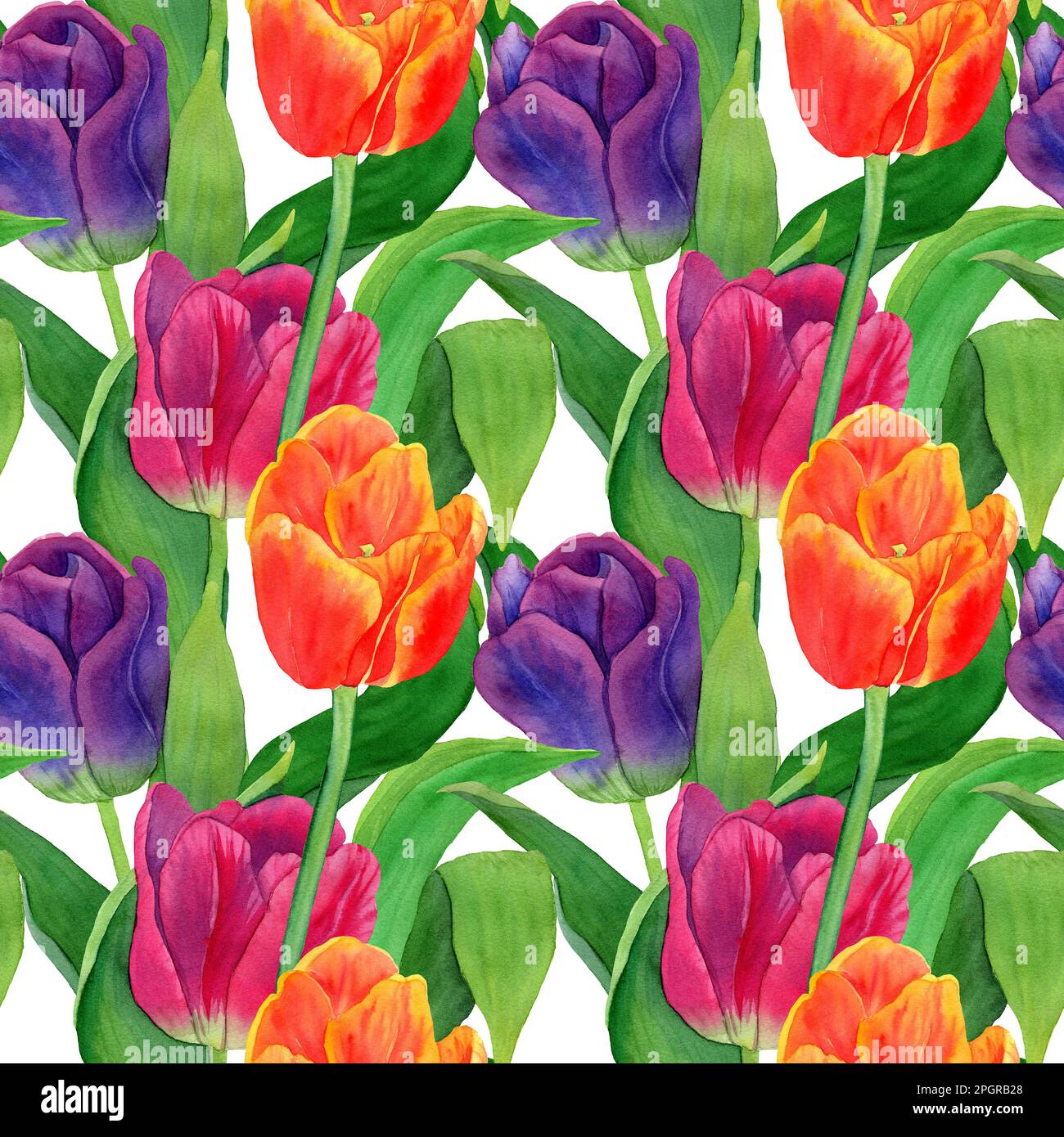 Beautiful hand drawn purple hi-res stock photography and images - Alamy