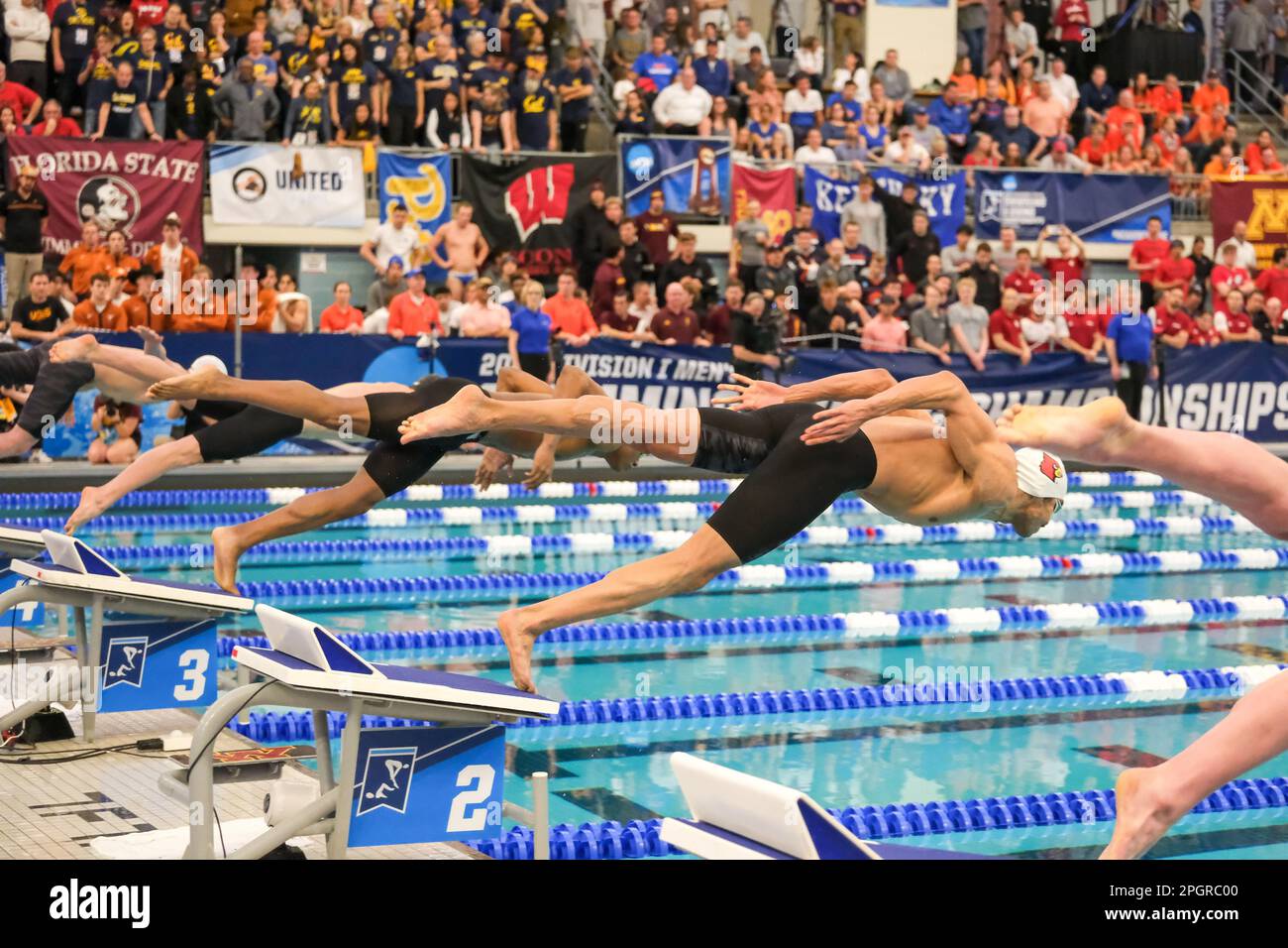 Minneapolis, Minnesota, USA. 23rd Mar, 2023. Swimmers start the 50 yard ...