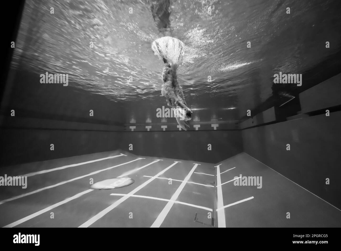 Minneapolis, Minnesota, USA. 23rd Mar, 2023. Underwater view of the ...